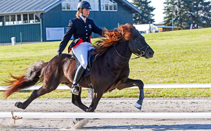 Bassi frá Efri-Fitjum – Lisa Schürger